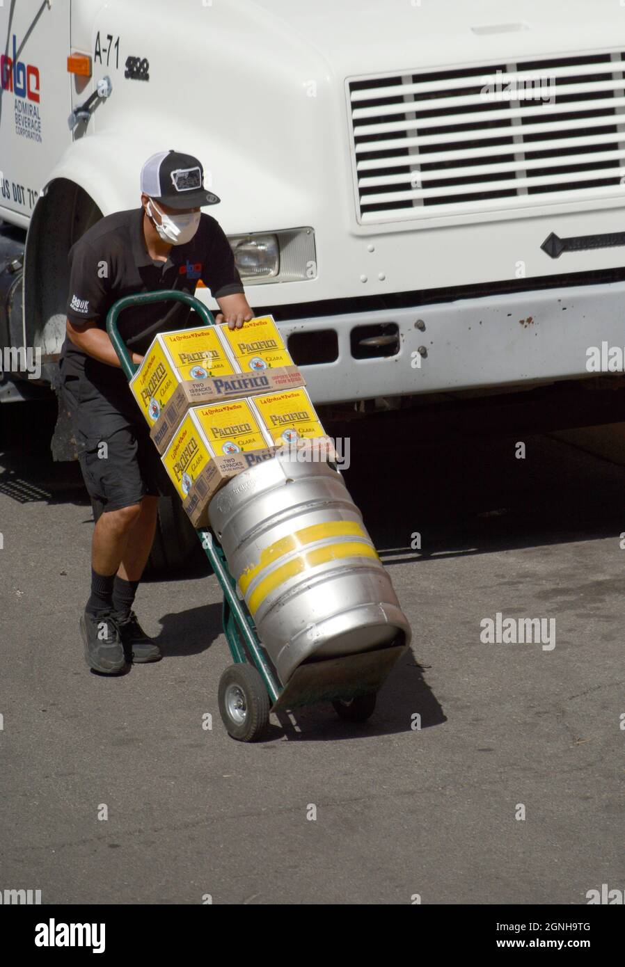A beer deliveryman with a hand truck delivers cartons of Pacifico ...
