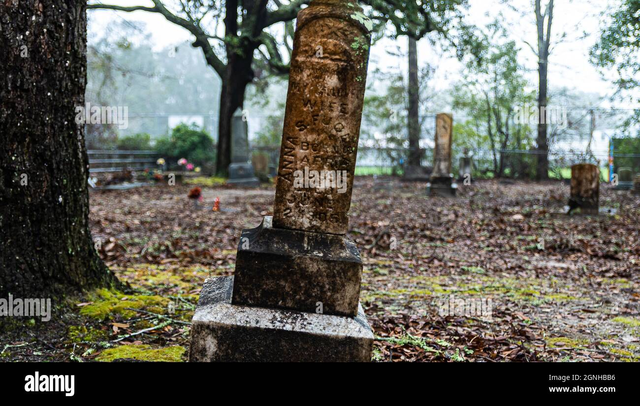 Closeup of an old gravestone in a cemetery surrounded by trees with a ...