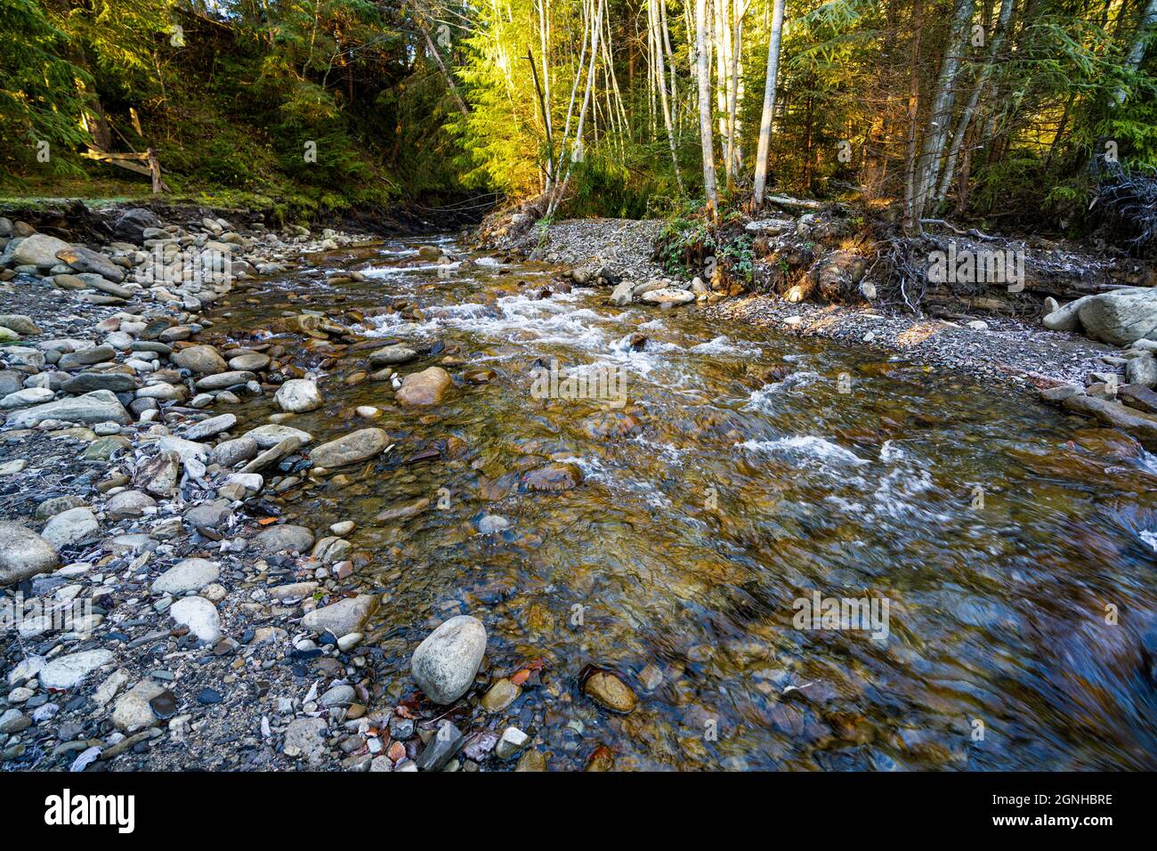 Transparent shallow stream water hi-res stock photography and images ...