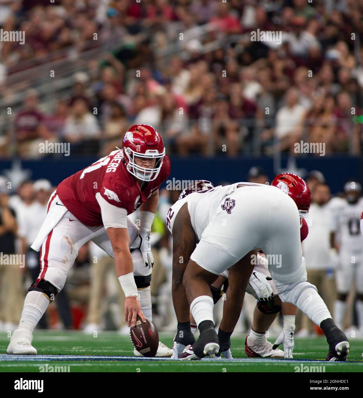 Peevy hi-res stock photography and images - Alamy