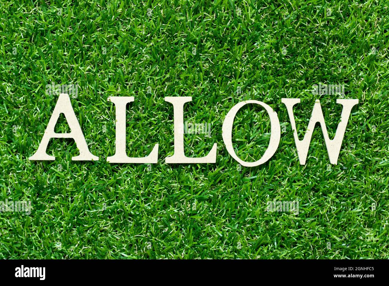 Wood letter in word allow on green grass background Stock Photo - Alamy