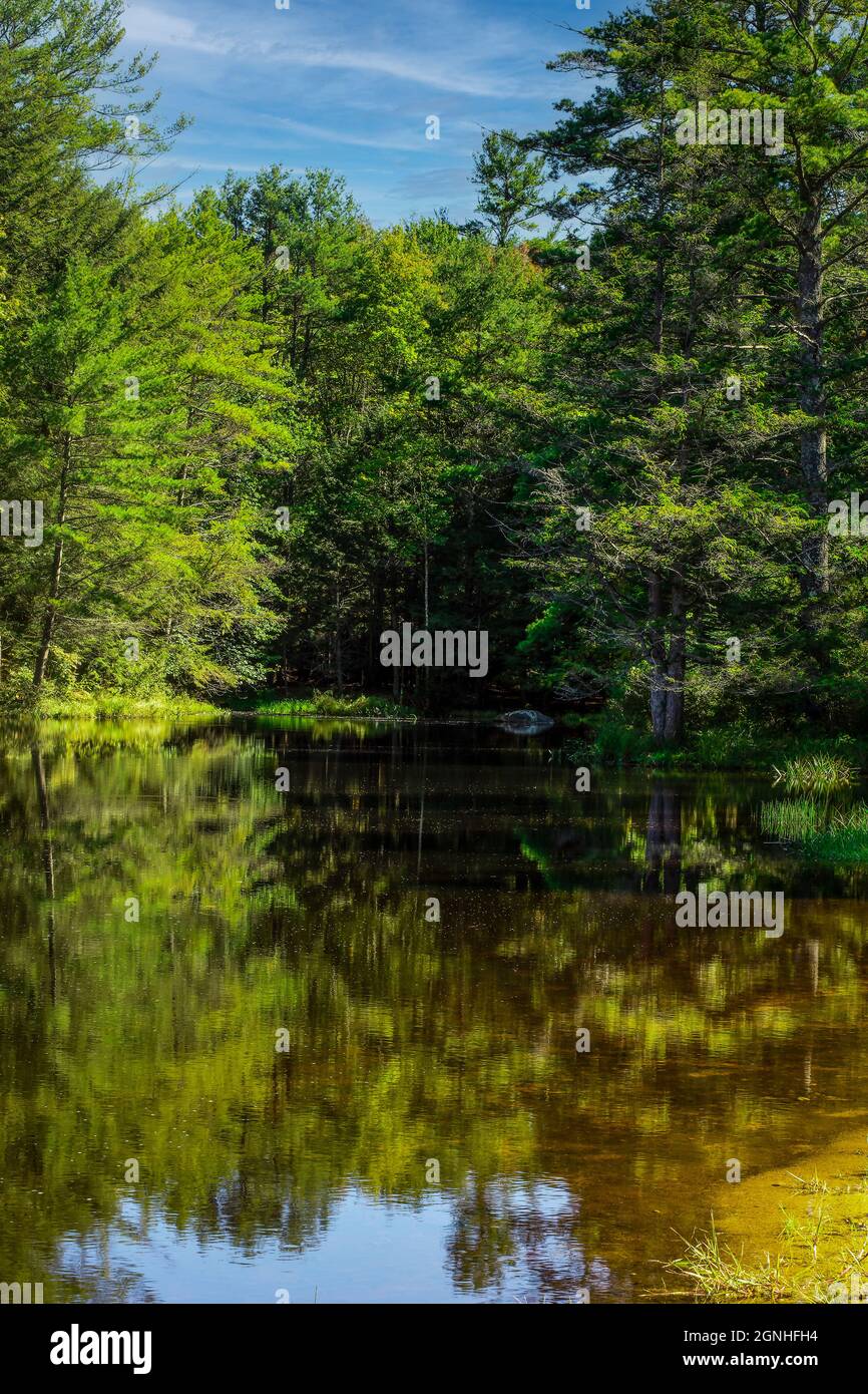 Beaman pond hi-res stock photography and images - Alamy