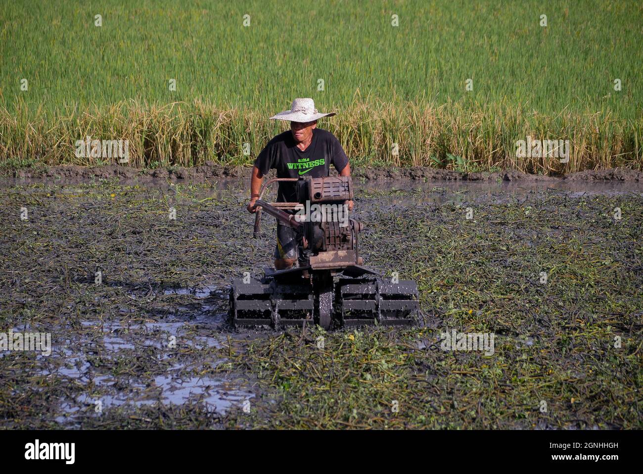 Taytay, Rizal, Philippines. 24th Sep, 2021. A farmer plows clears the ...