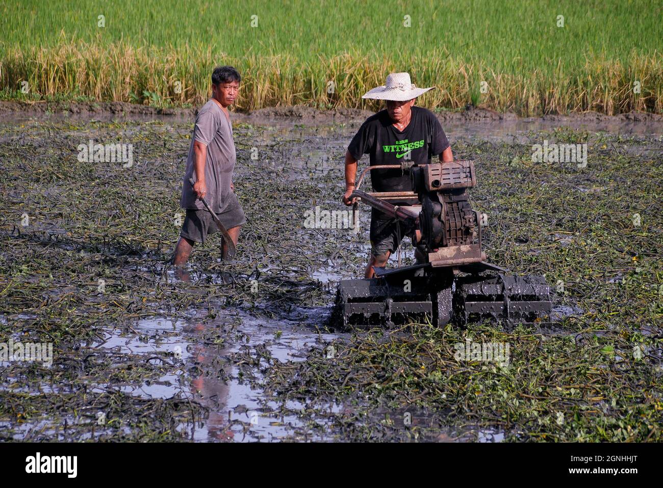 Taytay, Rizal, Philippines. 24th Sep, 2021. Two farmers and a boy on ...