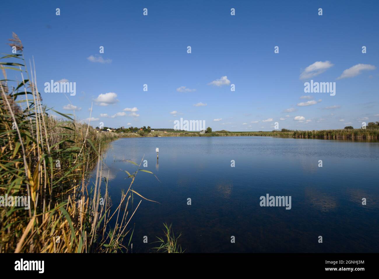 14 September 2021, Brandenburg, Beetzseeheide/Ot Ketzür: A small lake ...