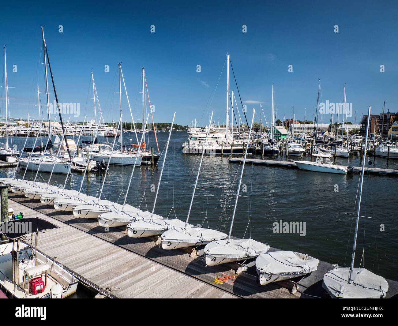 Training sailboats lined up in Annapolis, Maryland Stock Photo - Alamy