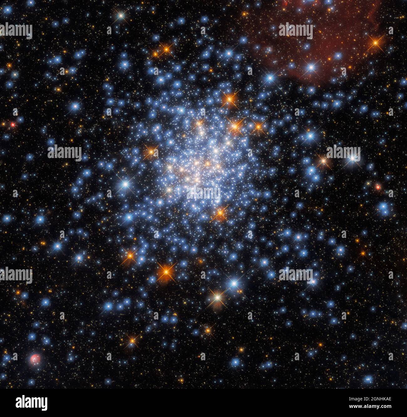Alpha Star Cluster