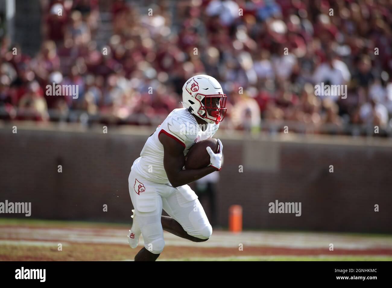 Huff hall hi-res stock photography and images - Alamy