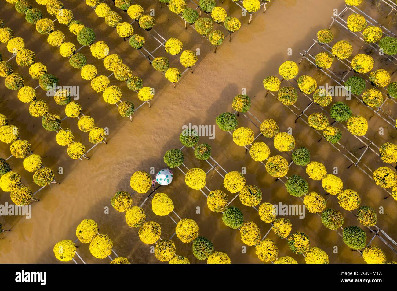 Mam background hi-res stock photography and images - Alamy