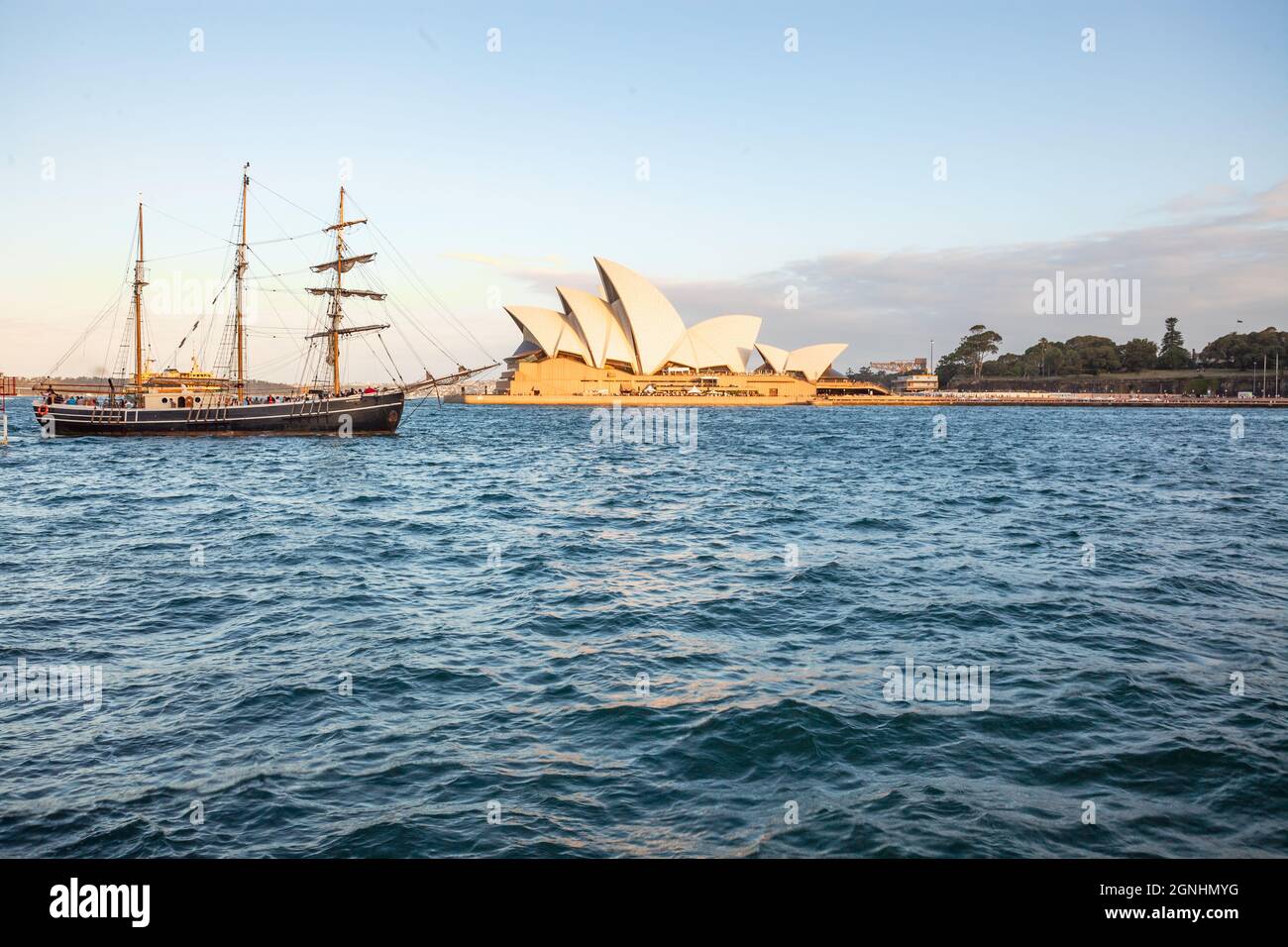 Sailing ship sydney harbour Australia Stock Photo - Alamy