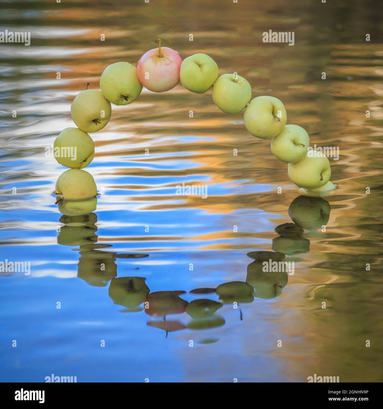 Apples piled up in a half circle reflected in water looking like a zero ...