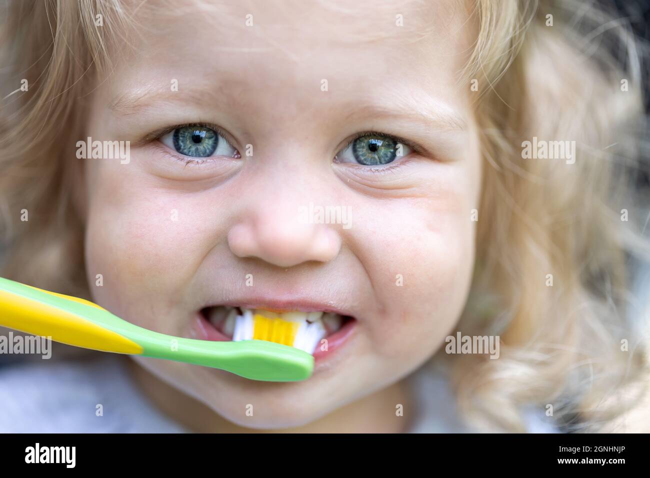 Portrait of a little girl with a toothbrush, the child brushes his ...