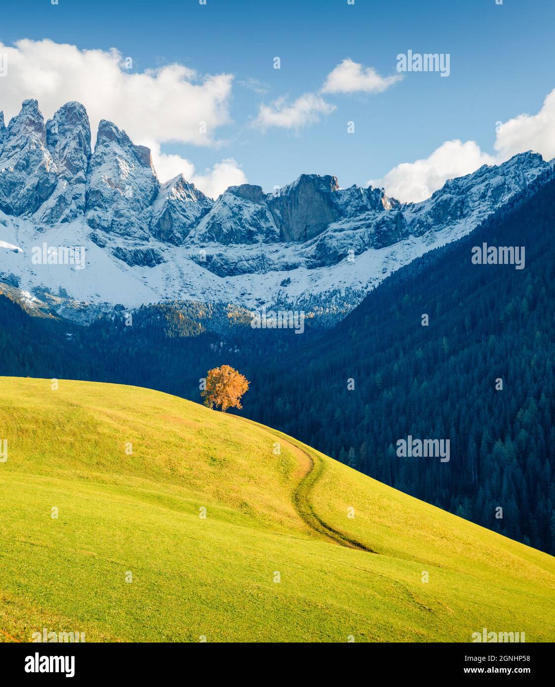 Wonderful view of Santa Magdalena village hills in front of the Geisler ...