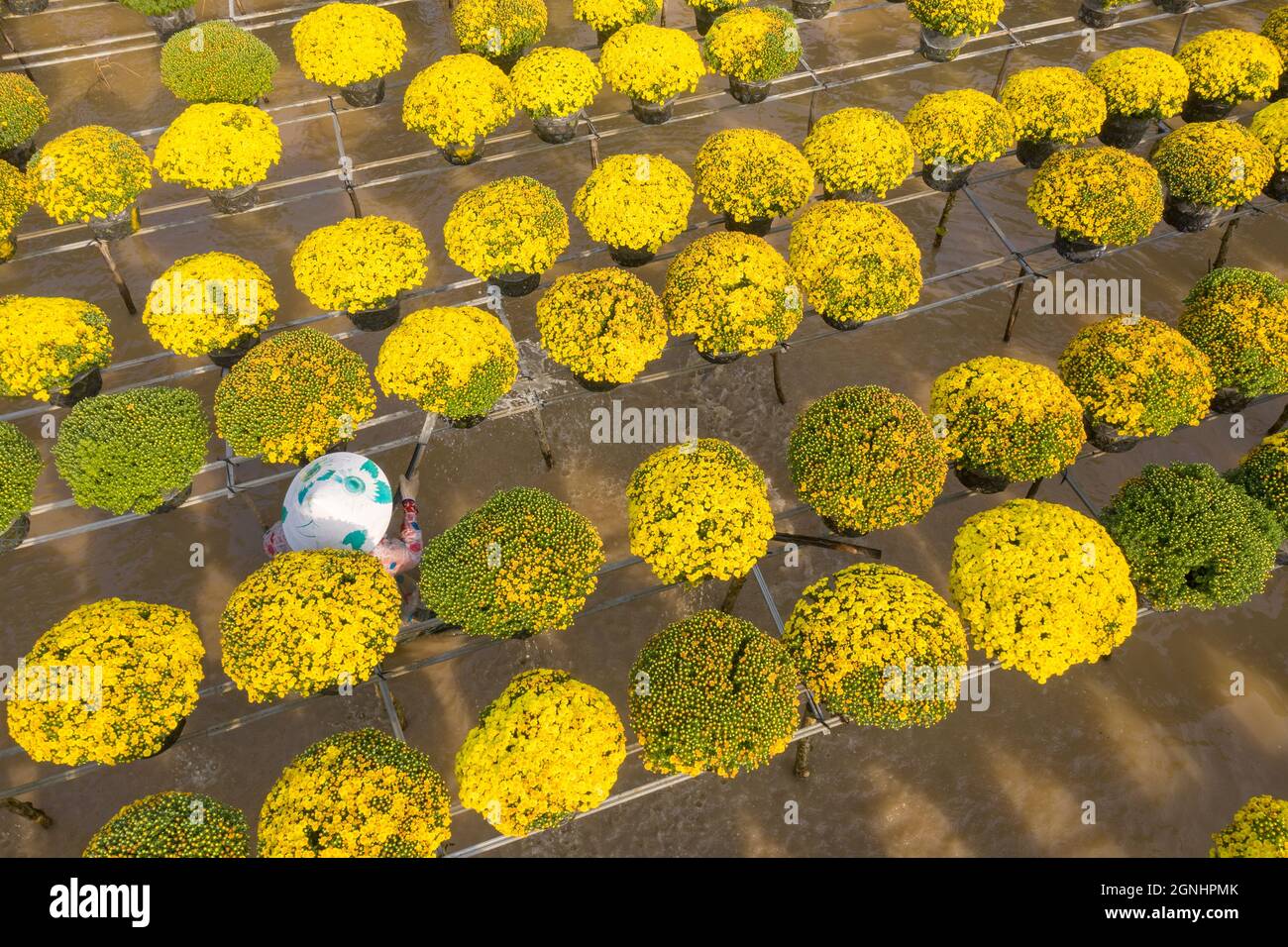 Mam background hi-res stock photography and images - Alamy