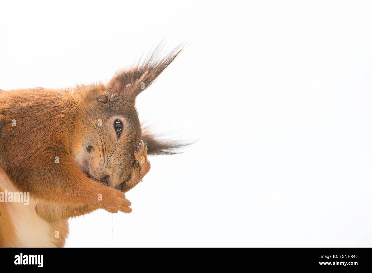 Hands over her head hi-res stock photography and images - Alamy