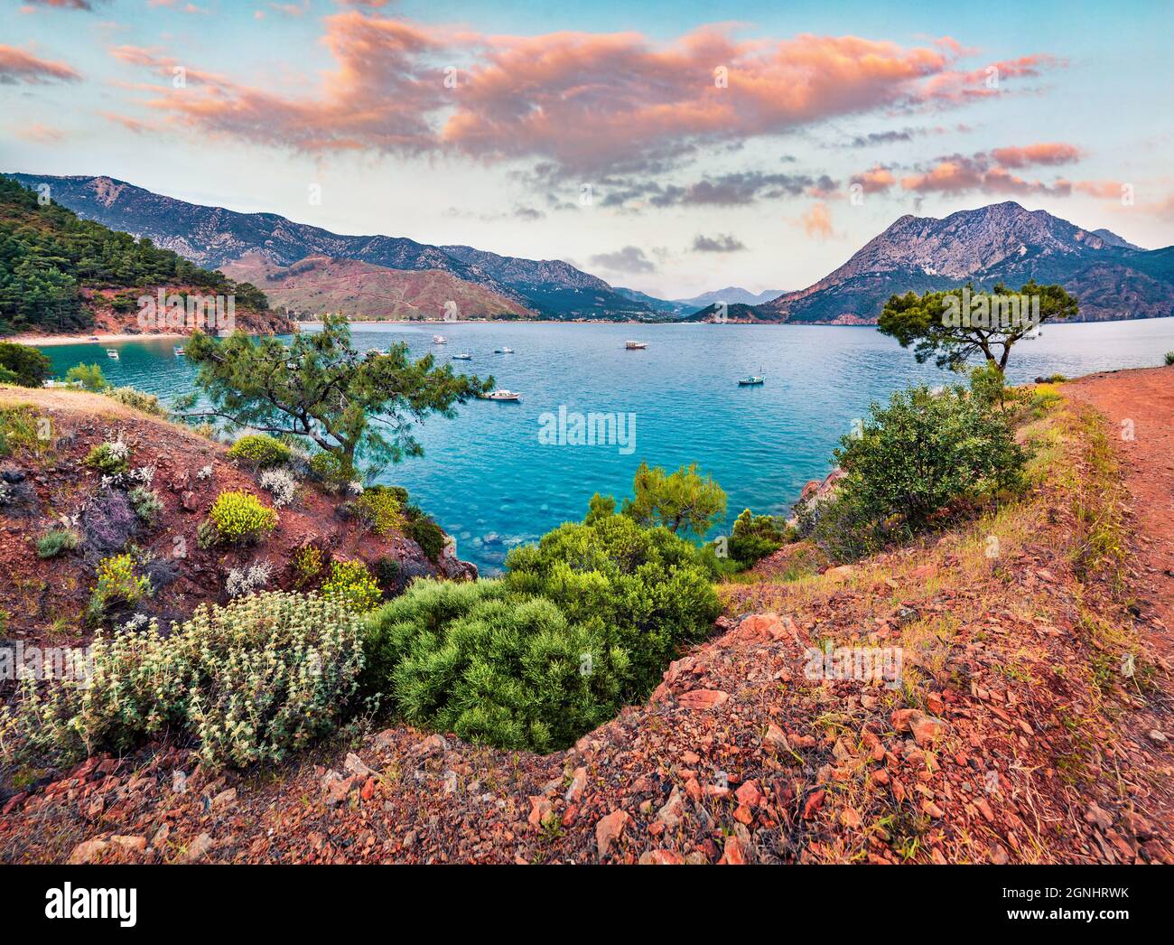 Moses tree turkey hi-res stock photography and images - Alamy