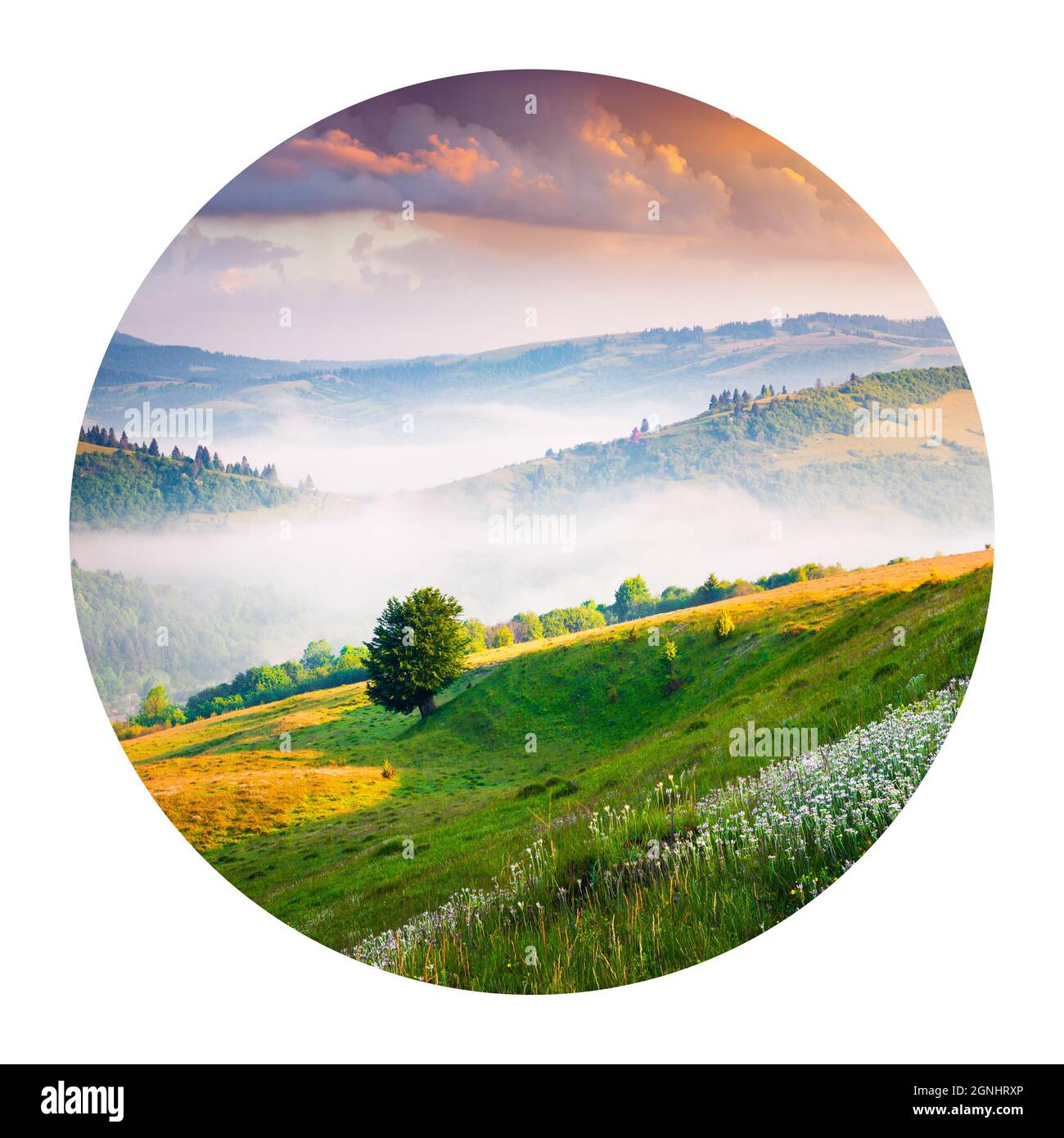 Ukraine landscape, country Cut Out Stock Images & Pictures - Alamy