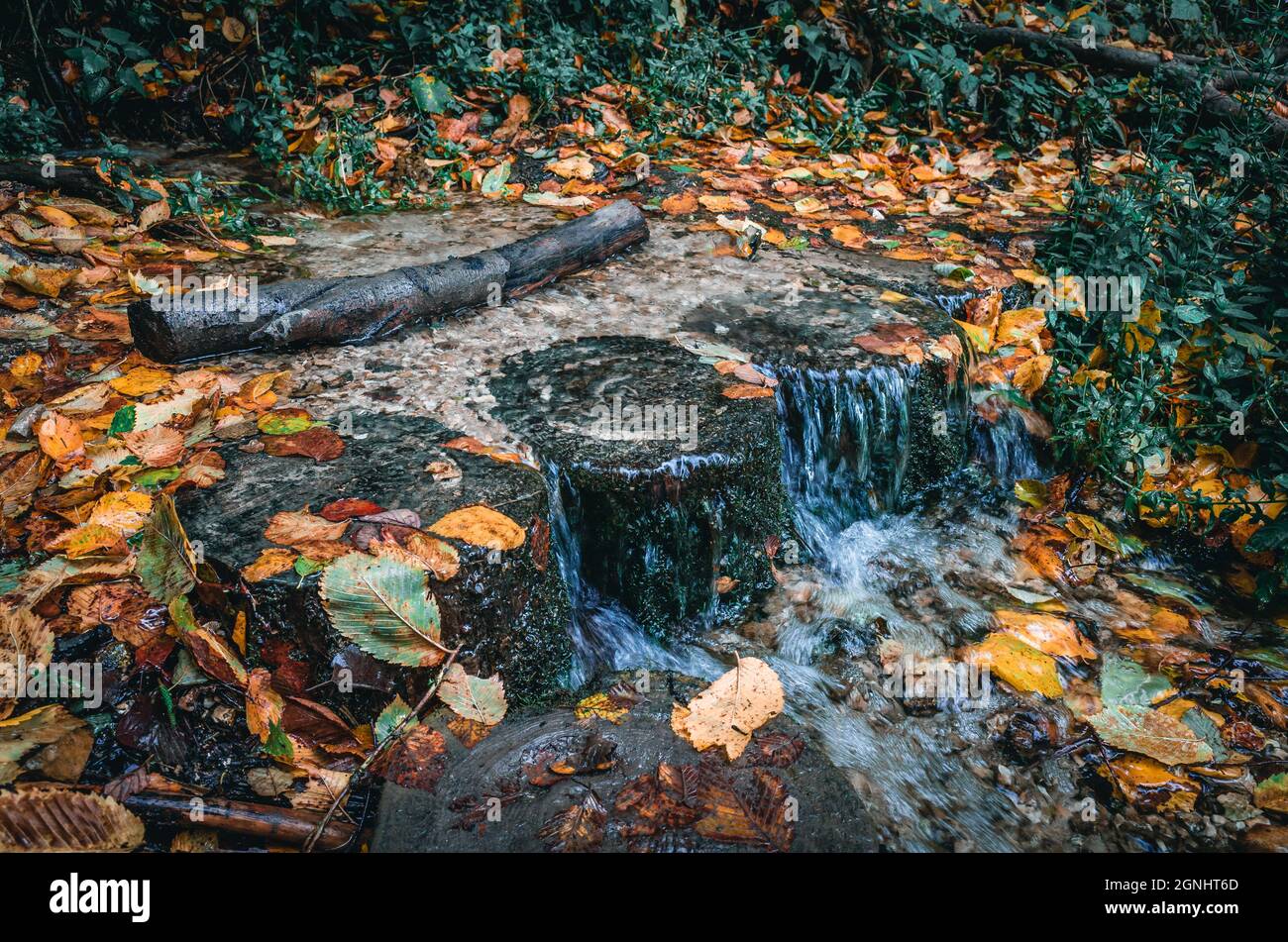 Subterranean spring in the forest of the Blue Lakes national park near ...