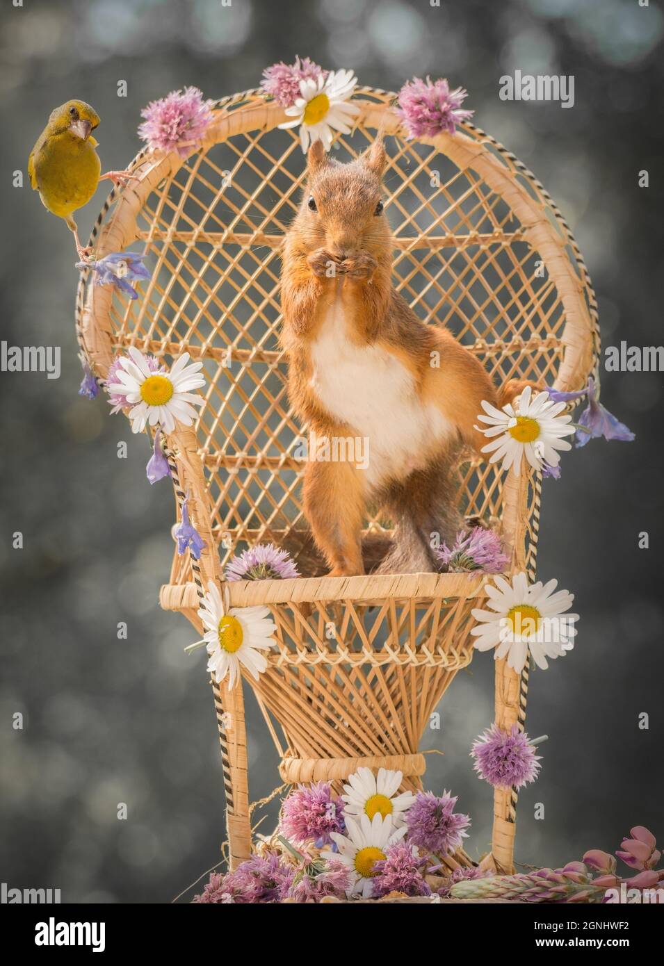 Lens and climb hi-res stock photography and images - Alamy