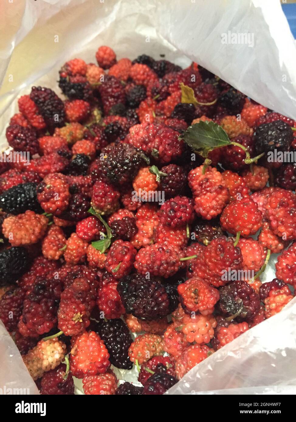 Fresh mulberries in Taiwan Stock Photo - Alamy