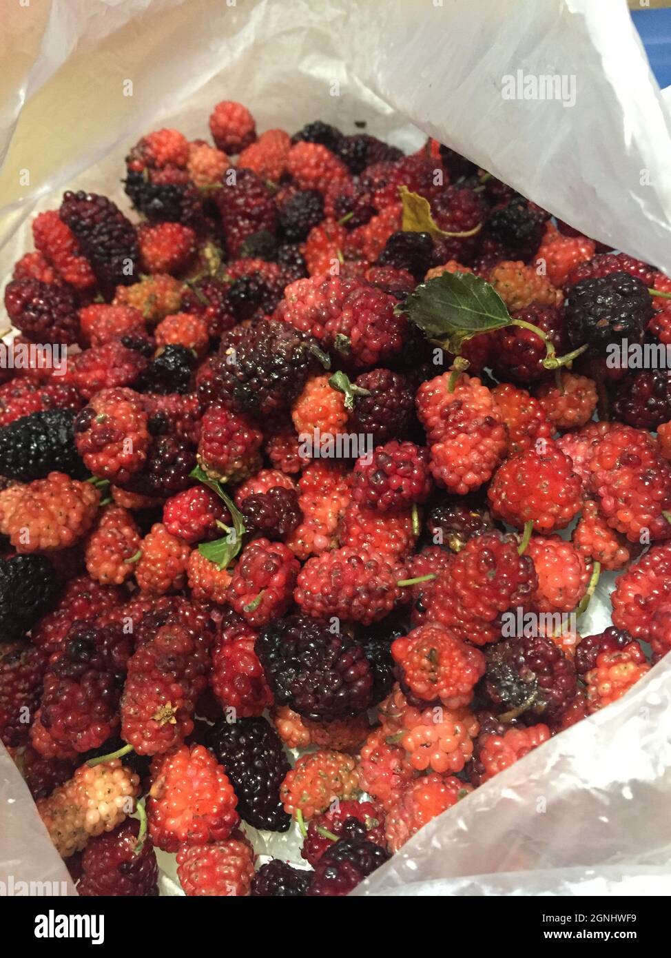 Mulberry fruit mulberries in hi-res stock photography and images - Alamy