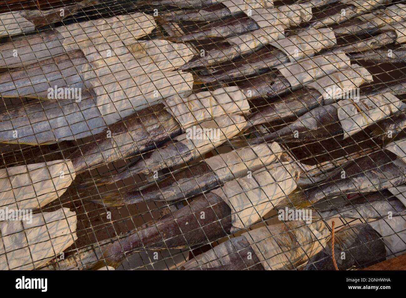 Fish drying in a fishing village in Taiwan Stock Photo - Alamy