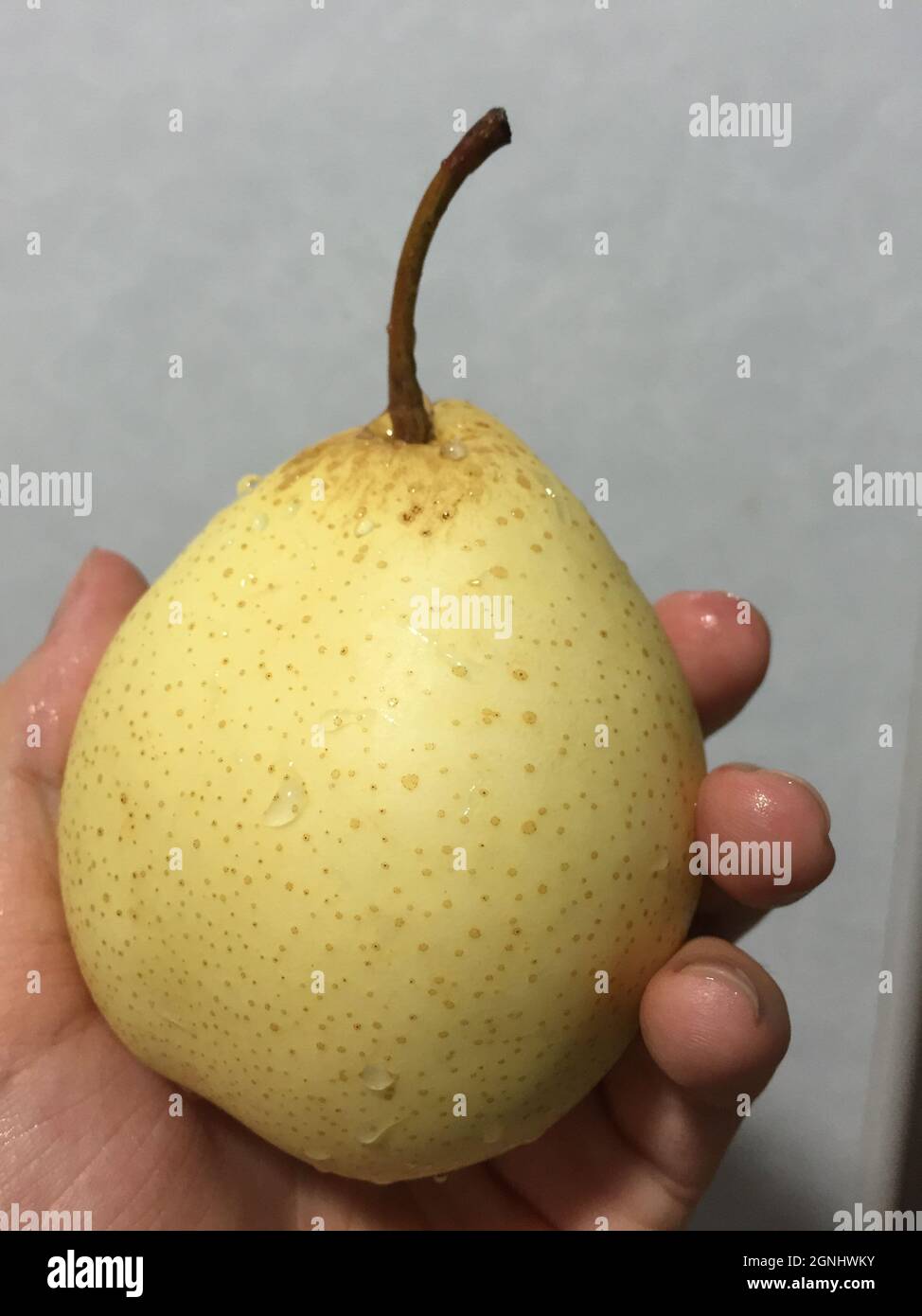 Asian pear hi-res stock photography and images - Alamy