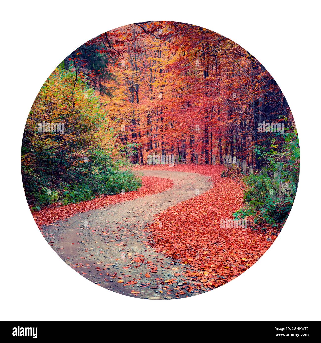 Golden alley Cut Out Stock Images & Pictures - Alamy