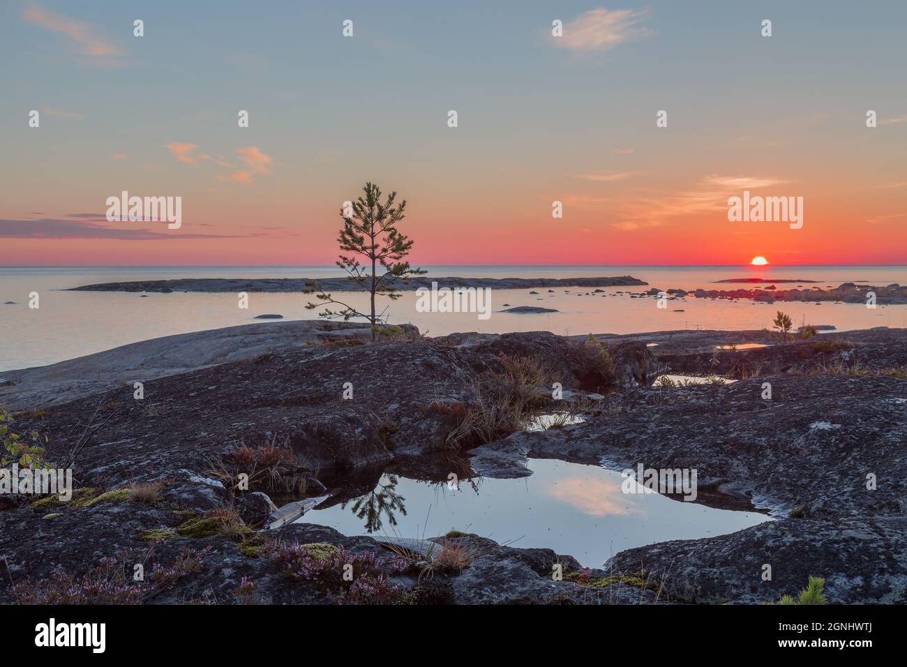 sea landscape with colorful plants with trees and rocks in ocean during ...