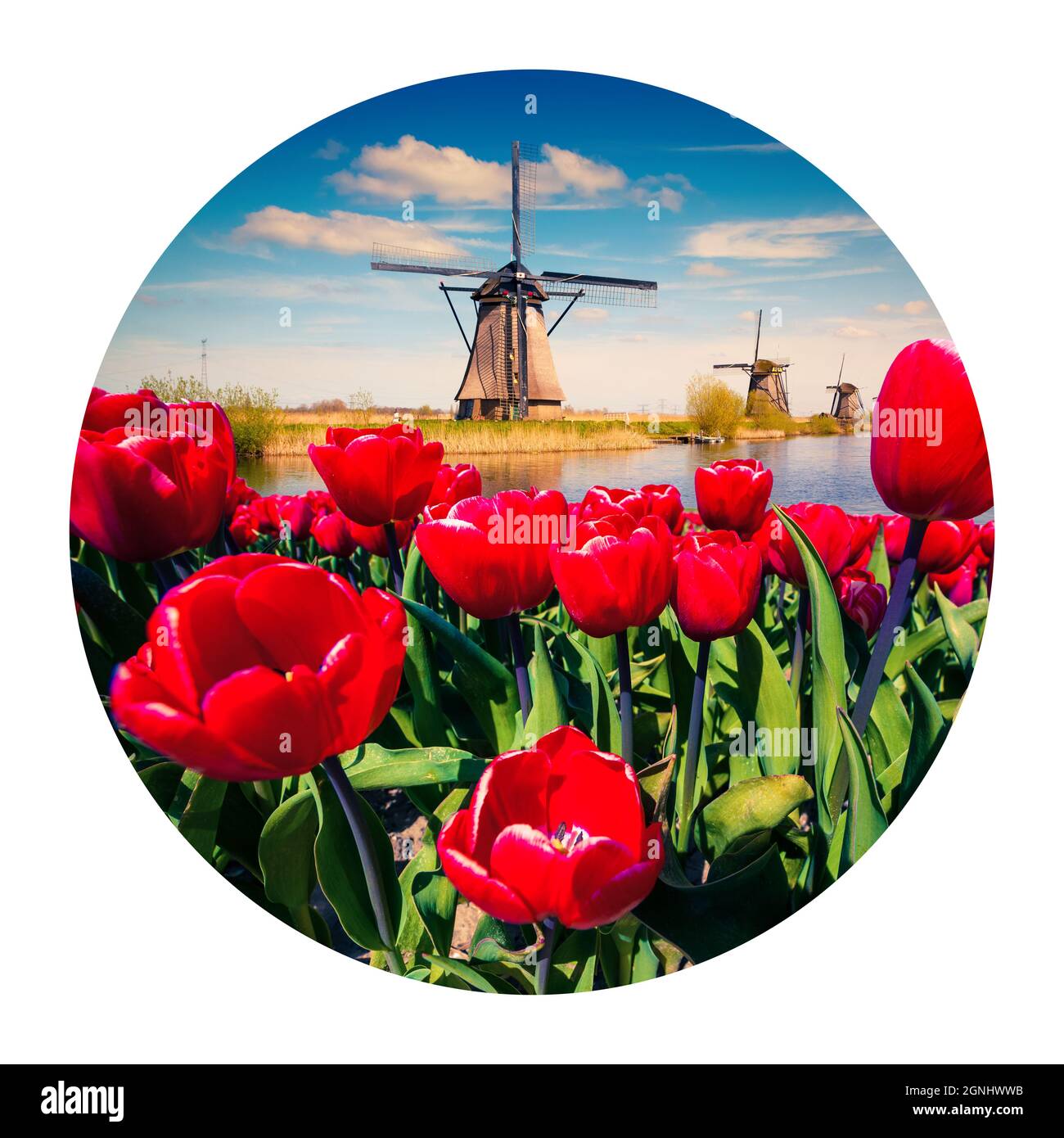 Spring view on river Cut Out Stock Images & Pictures - Alamy