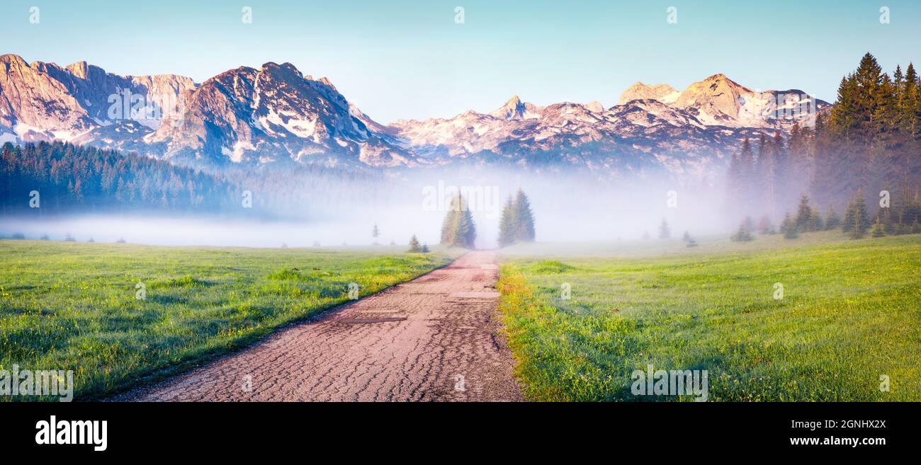 Sunny fog surrounds the mountains hi-res stock photography and images ...