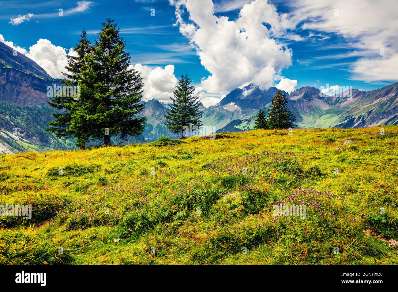 Fantastic summer view of mountain valley from the Oeschinen Lake ...