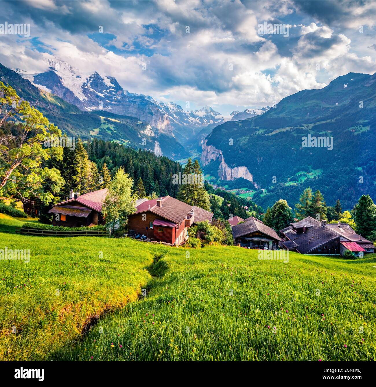 Fresh morning scene of countryside in Swiss Alps, Bernese Oberland in ...