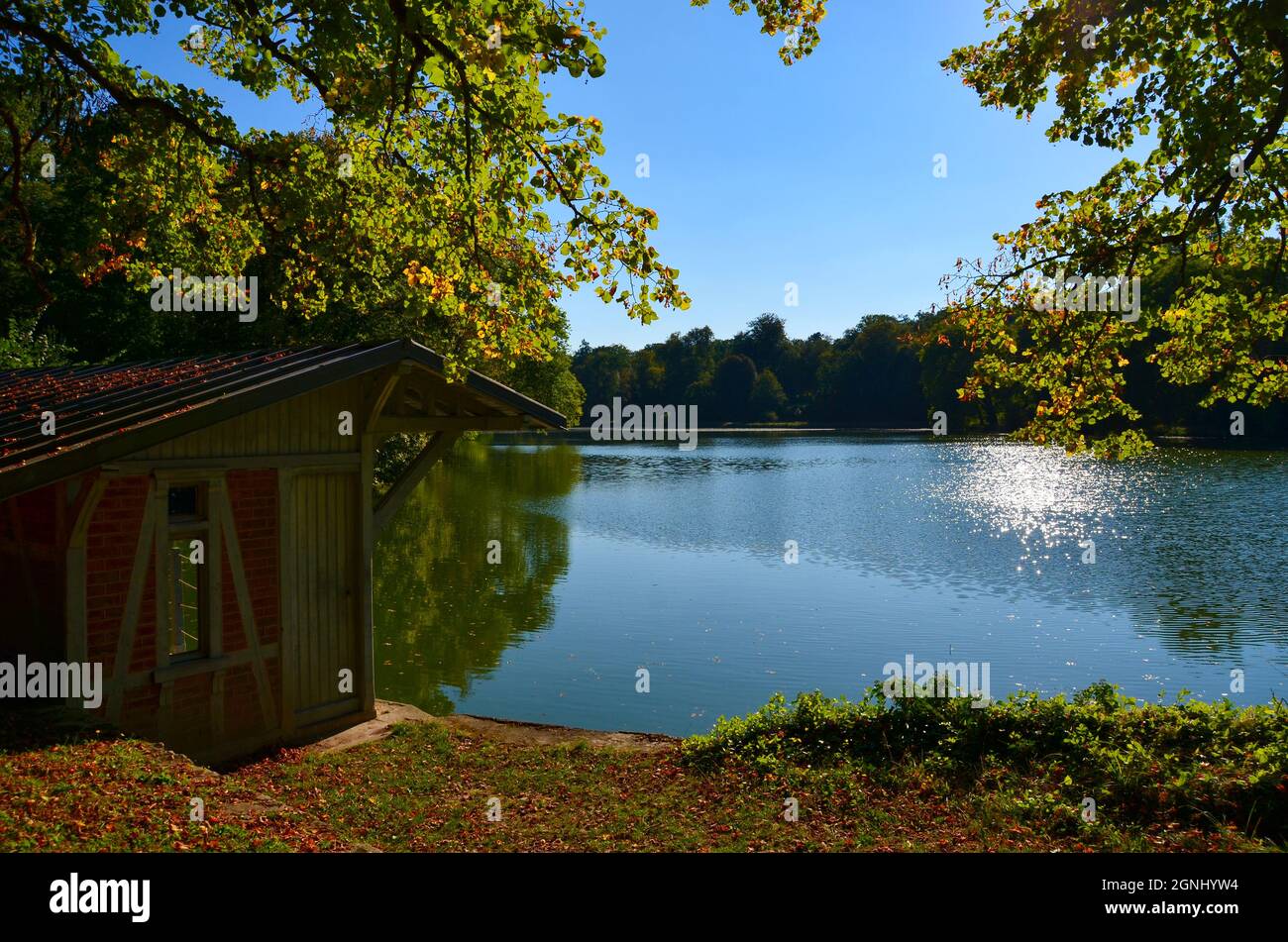 Chantilly forest france hi-res stock photography and images - Alamy