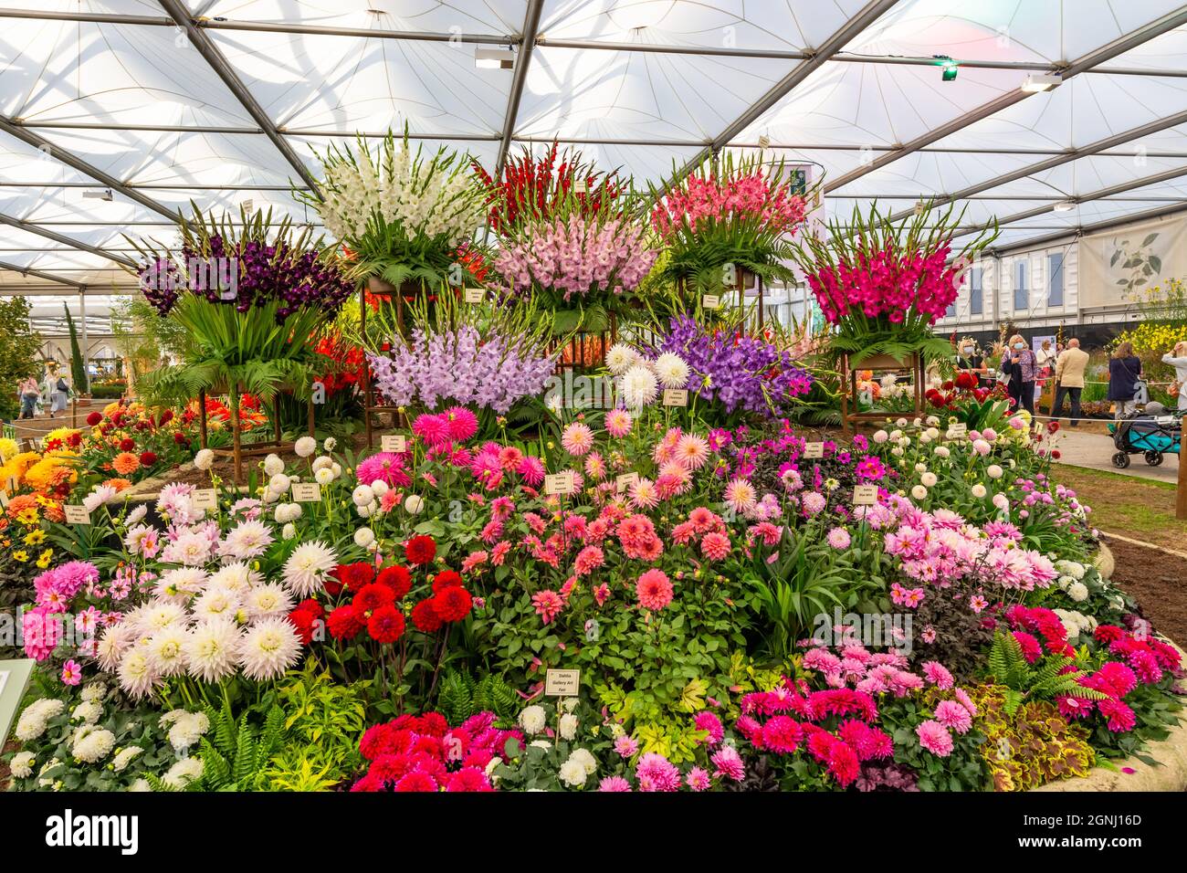 Large flower display at Chelsea flower show Stock Photo - Alamy