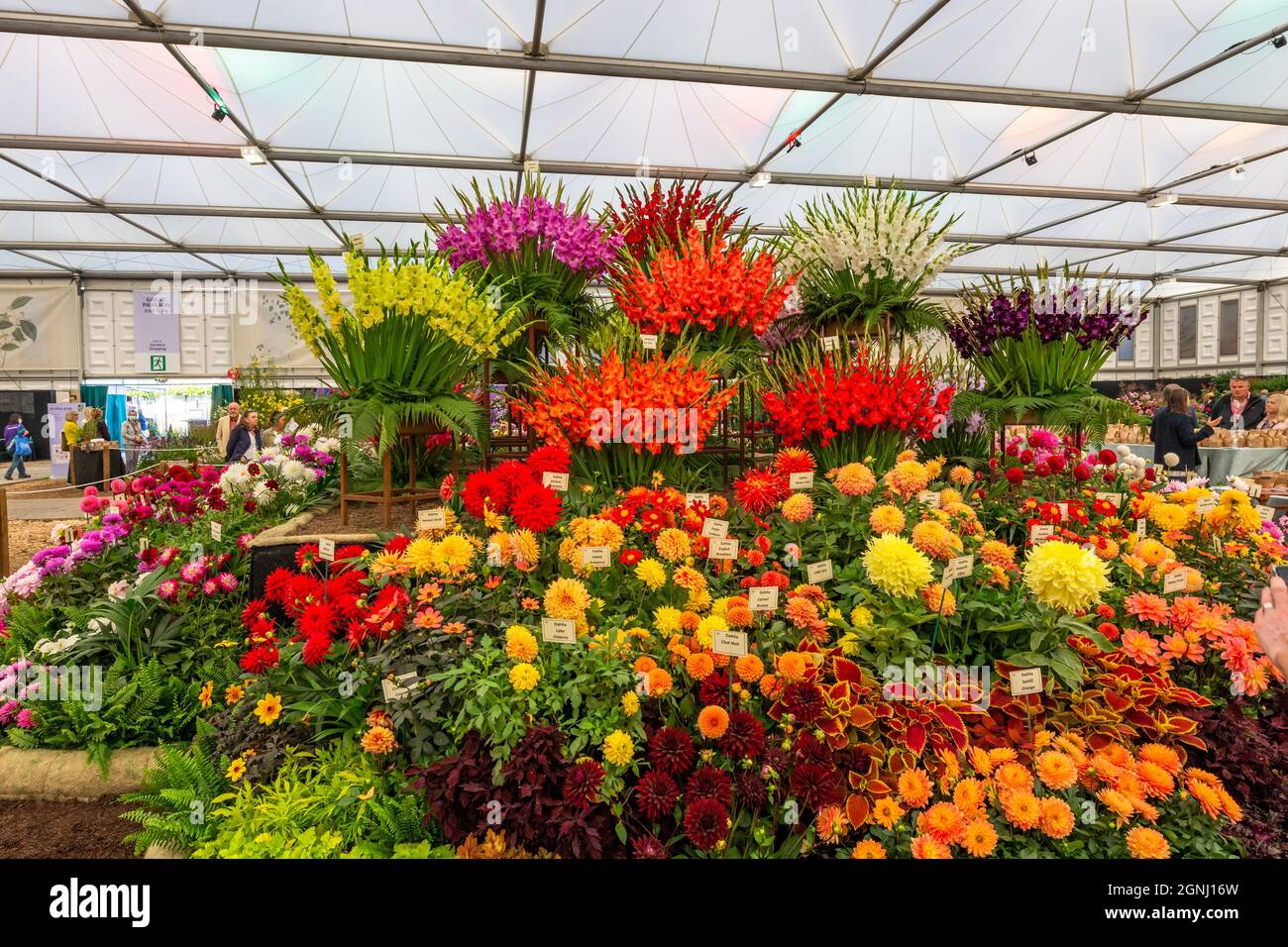 Large flower display at Chelsea flower show Stock Photo - Alamy