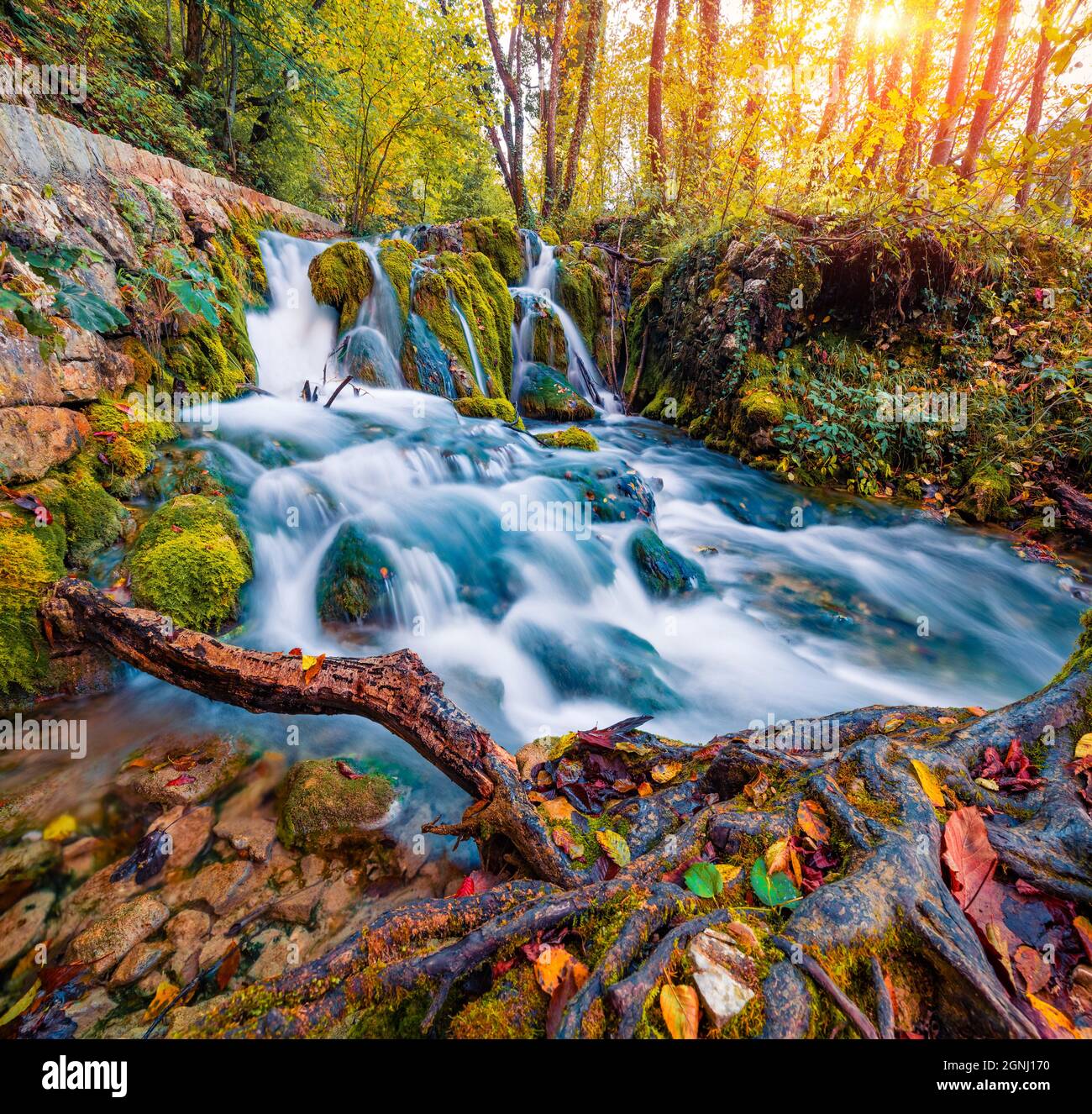 Marvelous morning view of pure water waterfall in Plitvice National ...