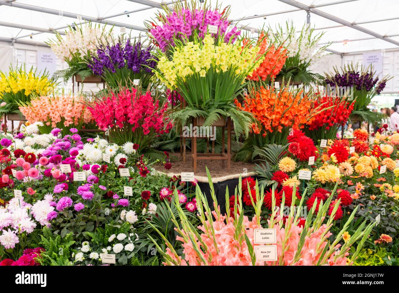 Large flower display at Chelsea flower show Stock Photo - Alamy