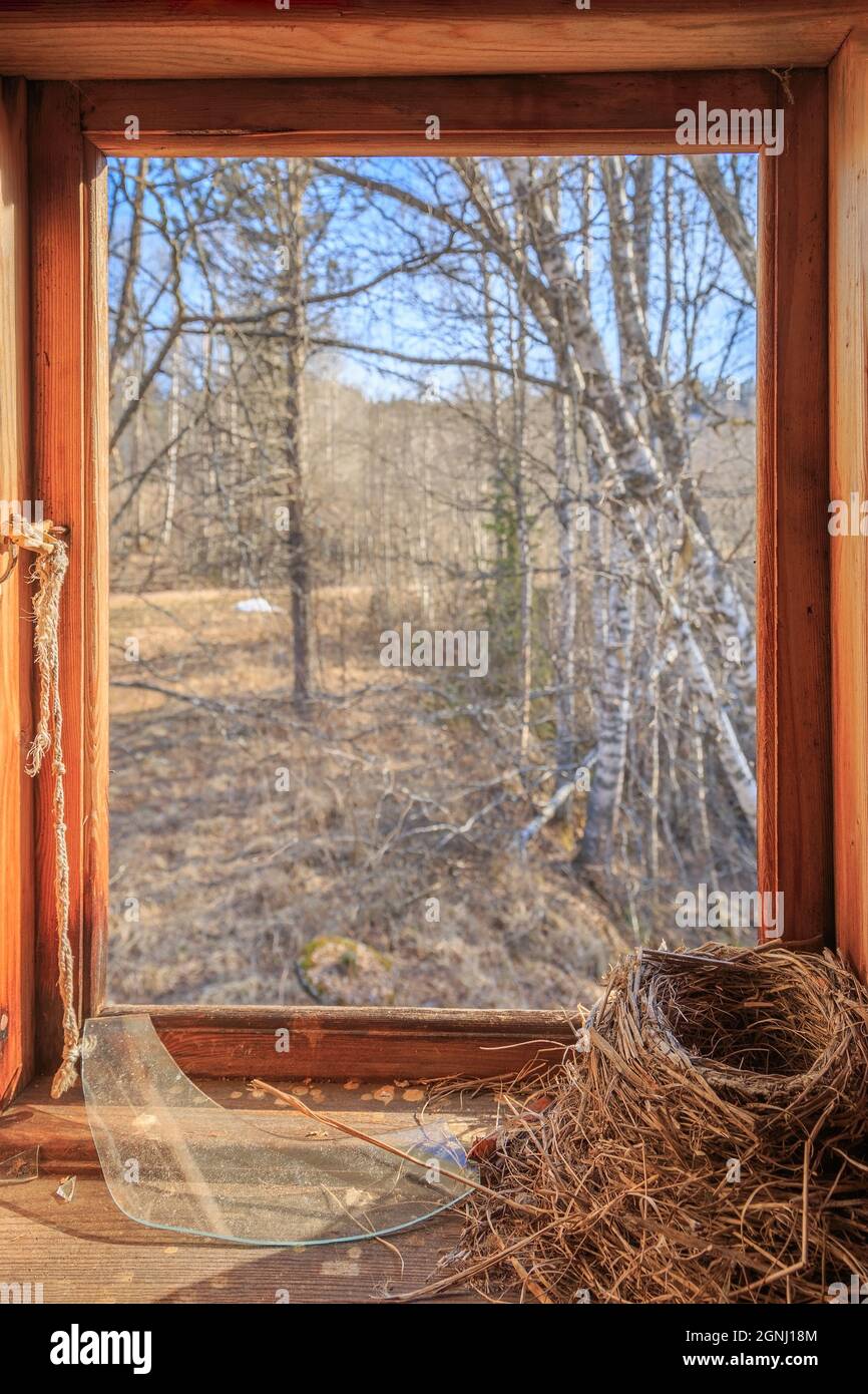 Broken back window hi-res stock photography and images - Alamy
