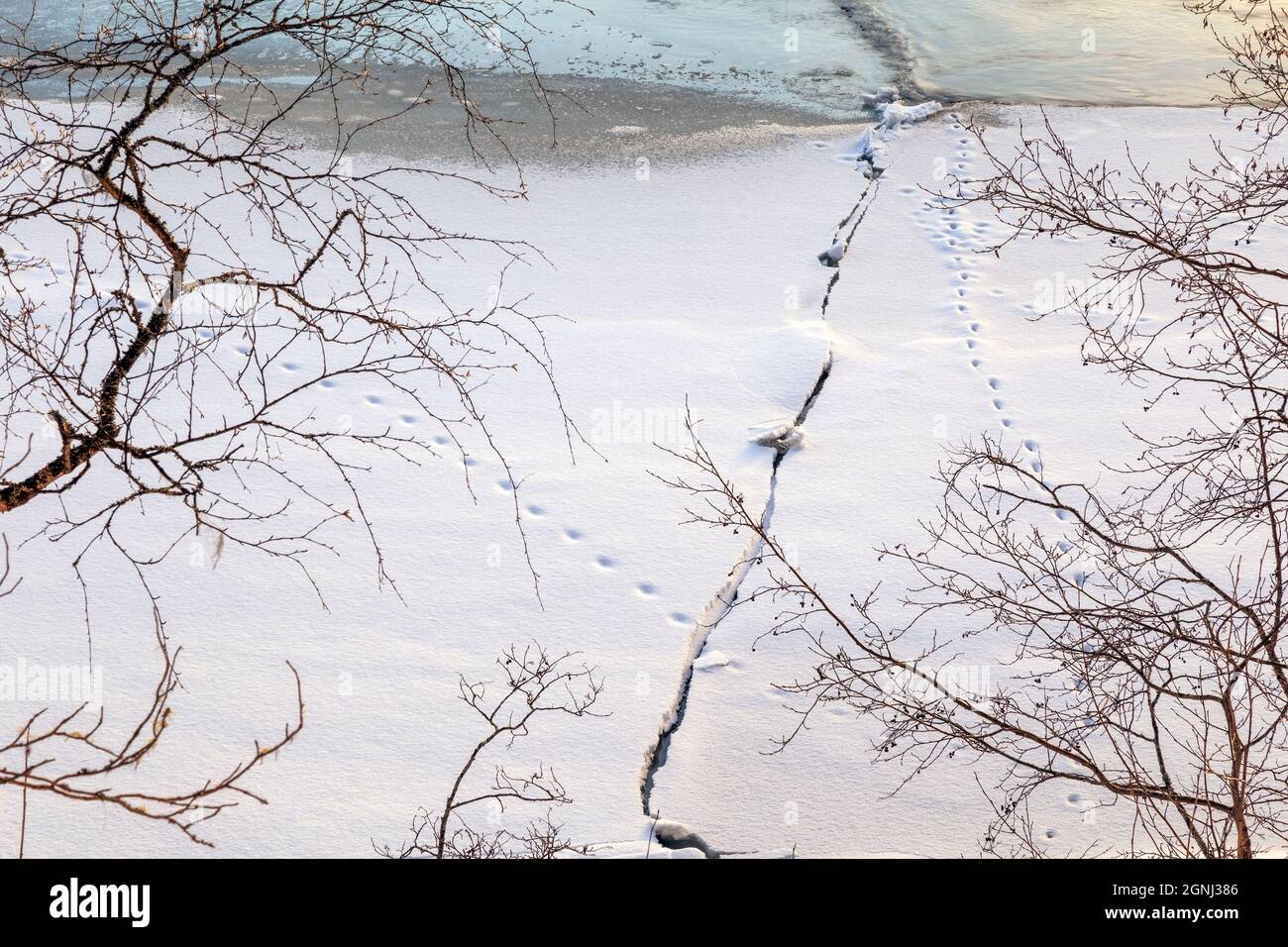 Sweden snow cabin trees hi-res stock photography and images - Alamy