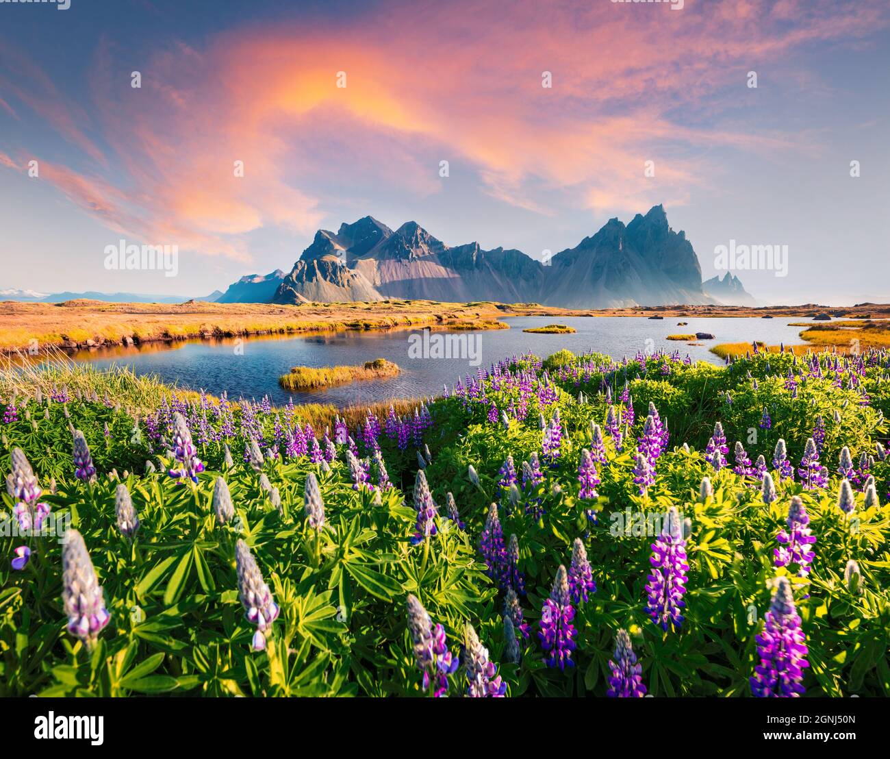 Captivating morning scene of Stokksnes cape with Vestrahorn (Batman ...