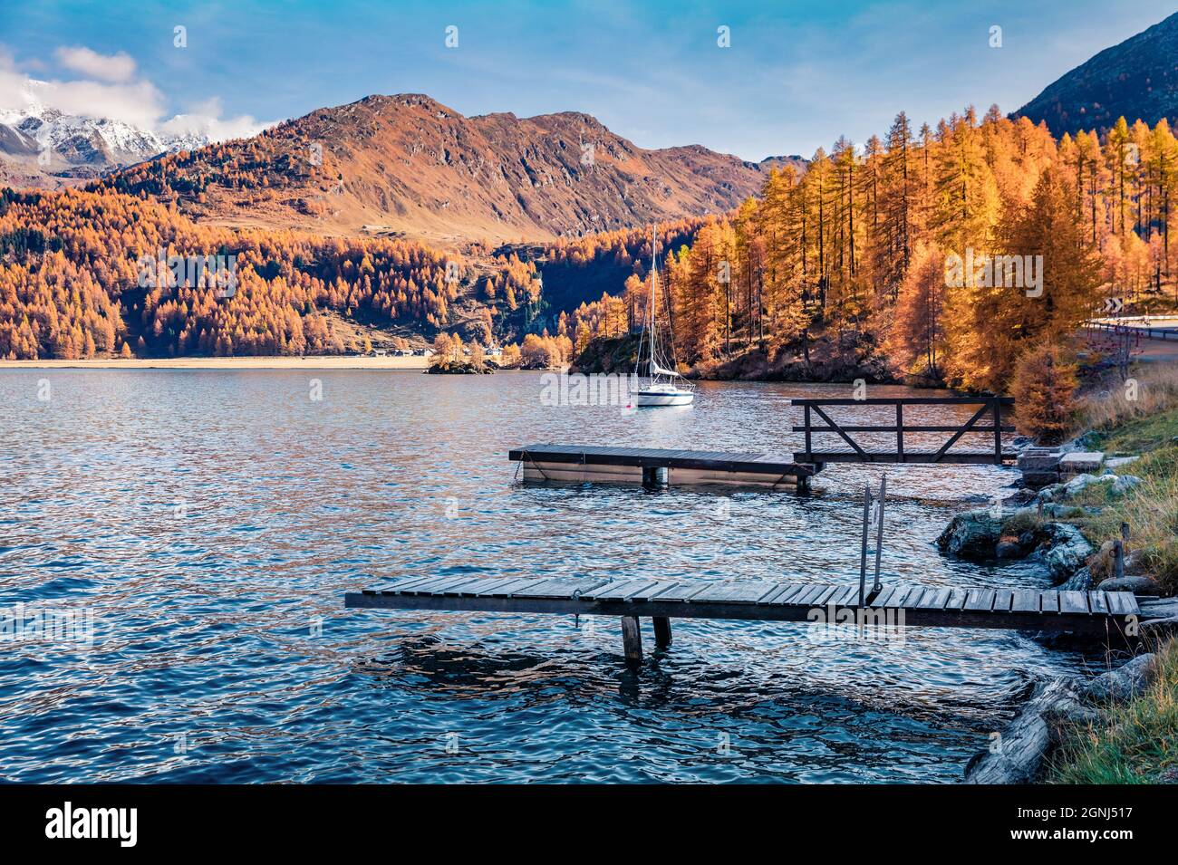 White yacht on the Sils lake. Orange larch trees forest in Swiss Alps ...