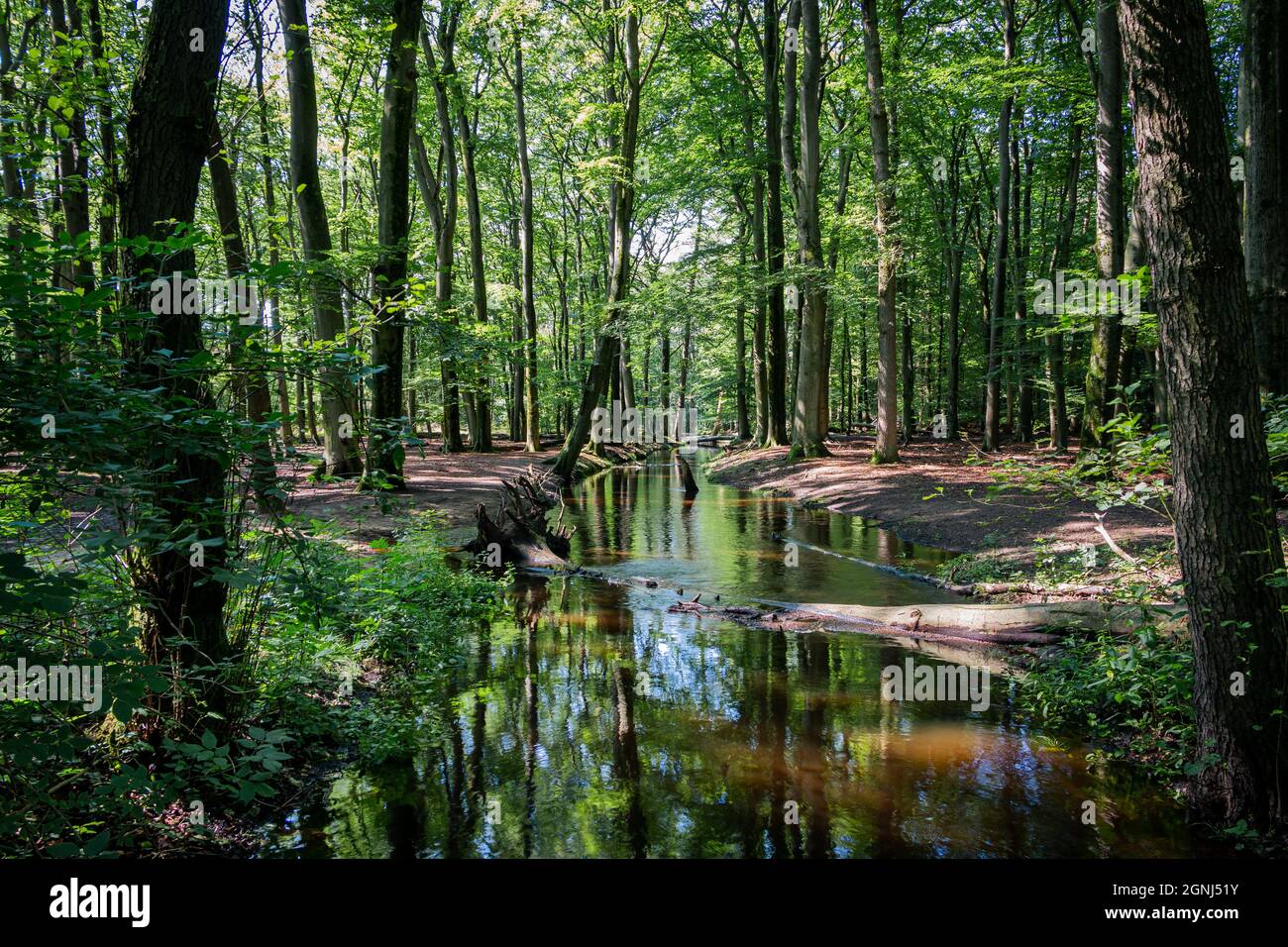 A stream called 'the Leuvenumse Brook' flows through the 'Leuvenumse ...