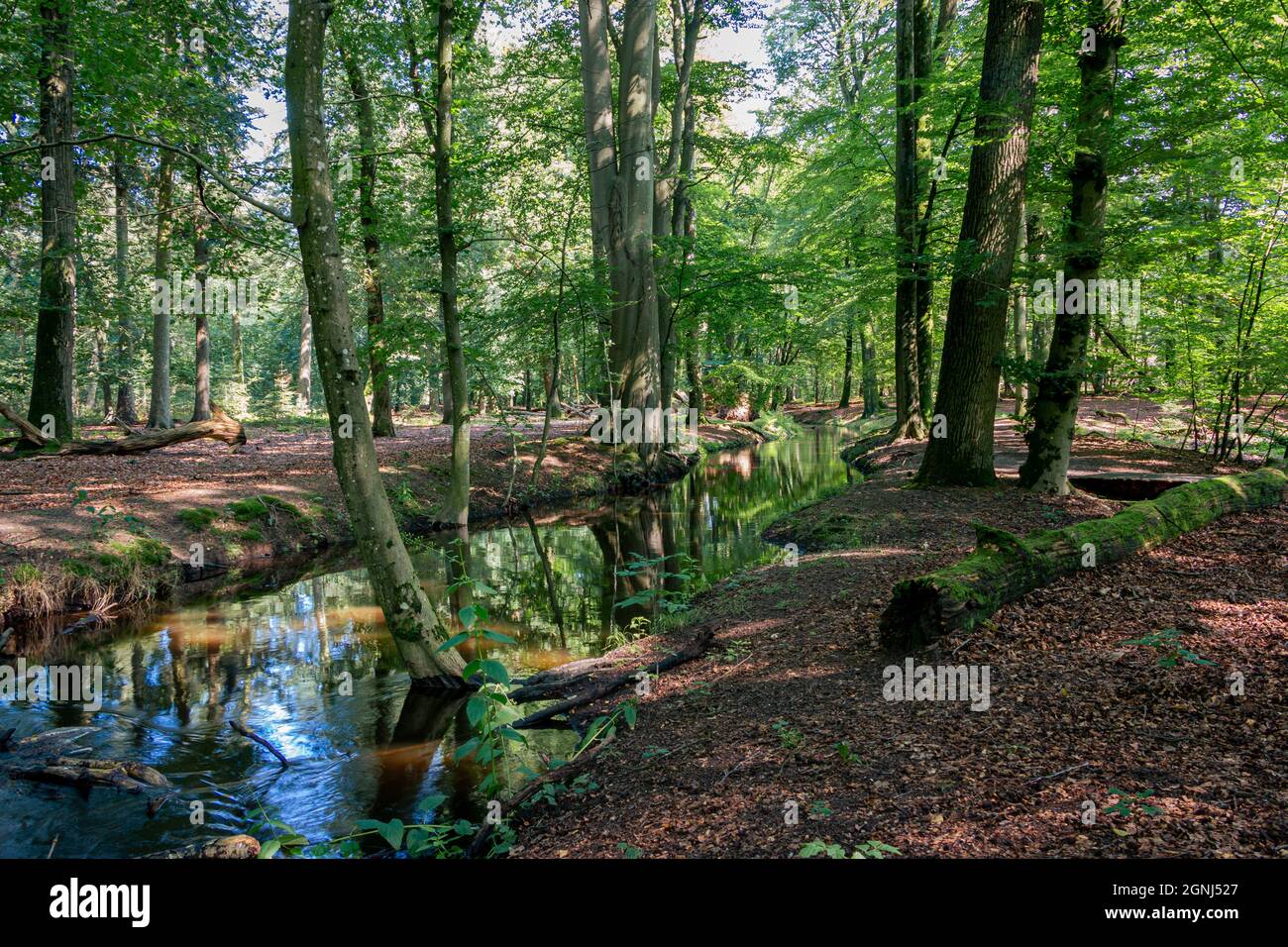 A stream called 'the Leuvenumse Brook' flows through the 'Leuvenumse ...