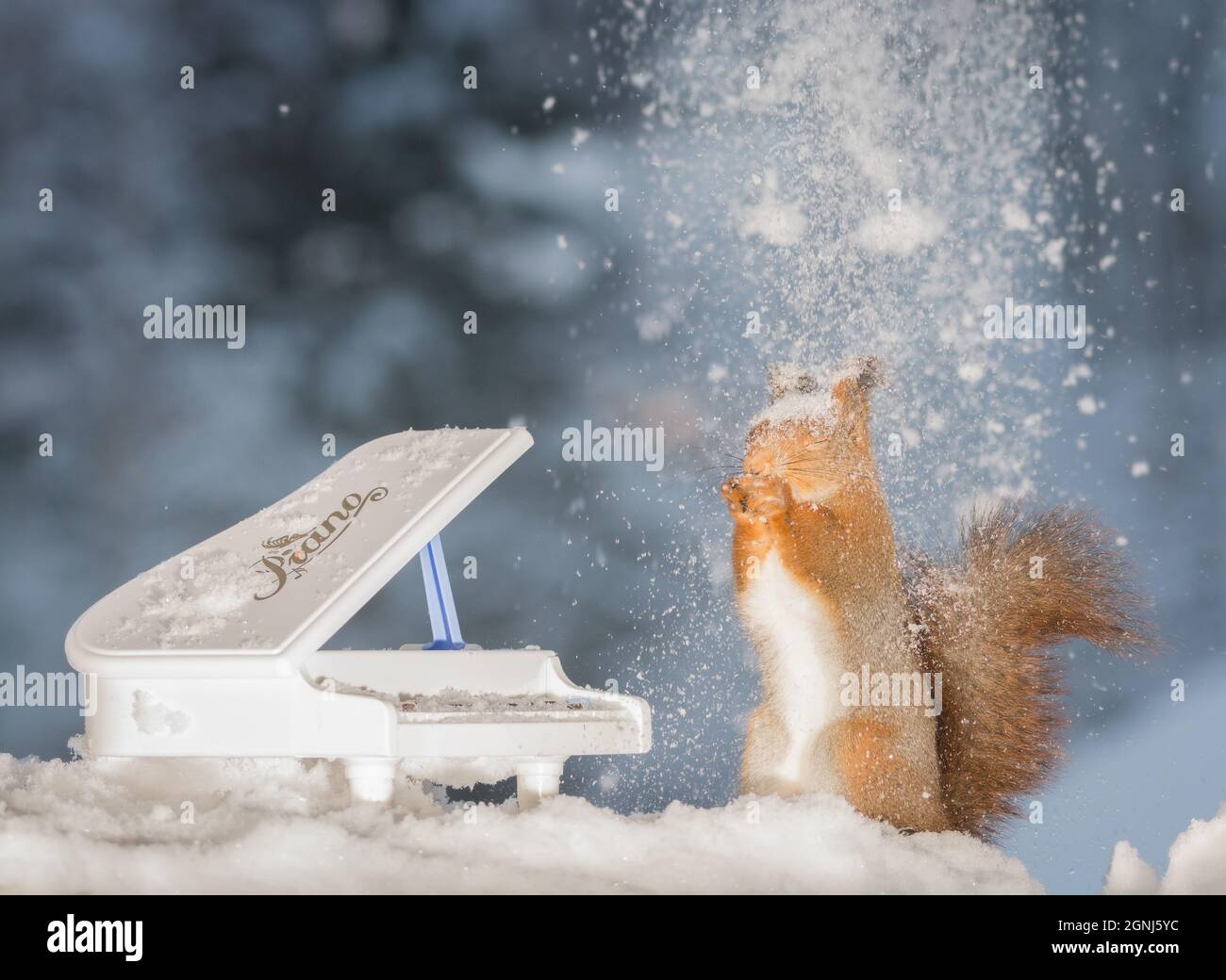 Back ground piano hi-res stock photography and images - Alamy
