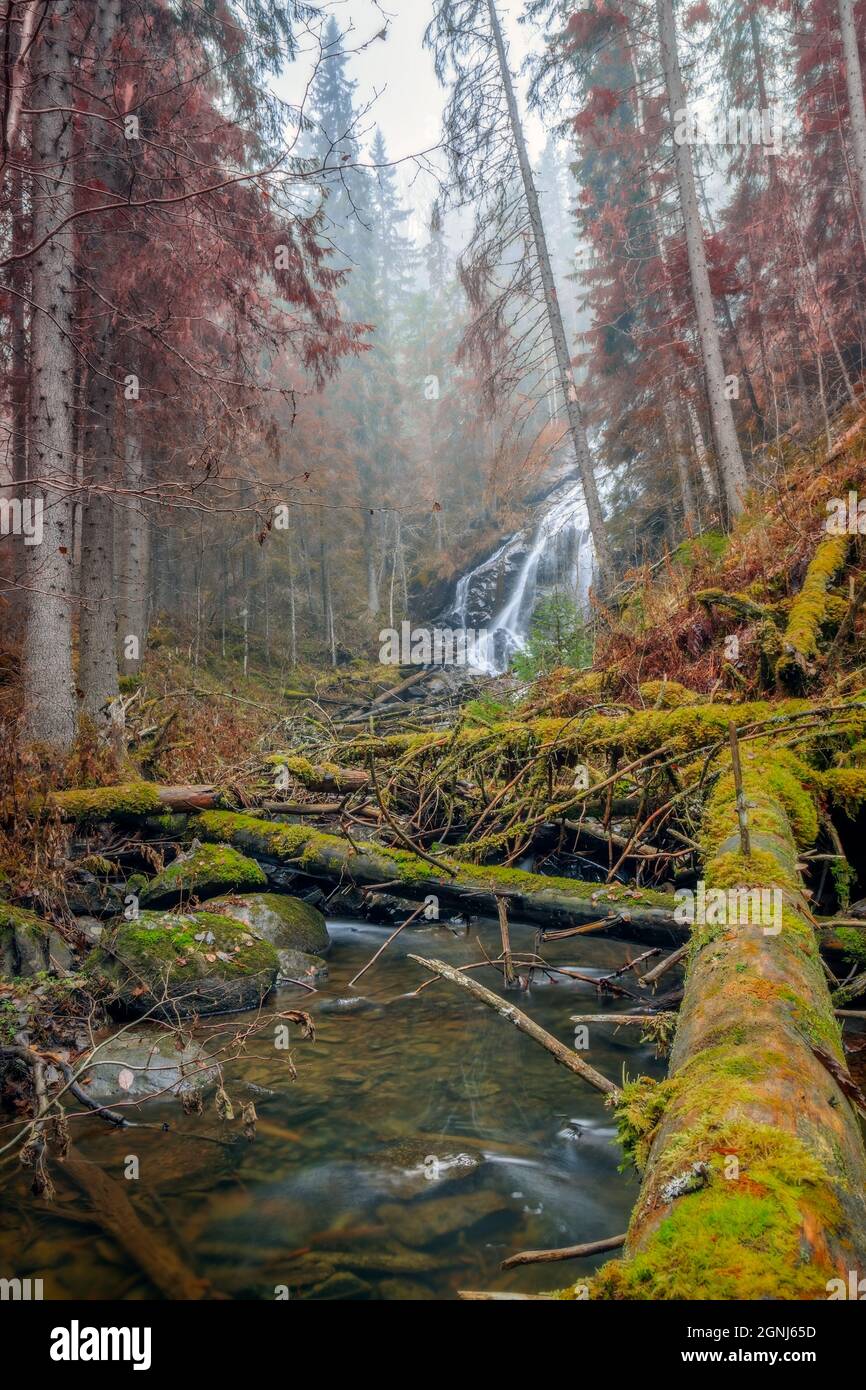 Branch Of A Tree In Front Of Waterfall High Resolution Stock ...