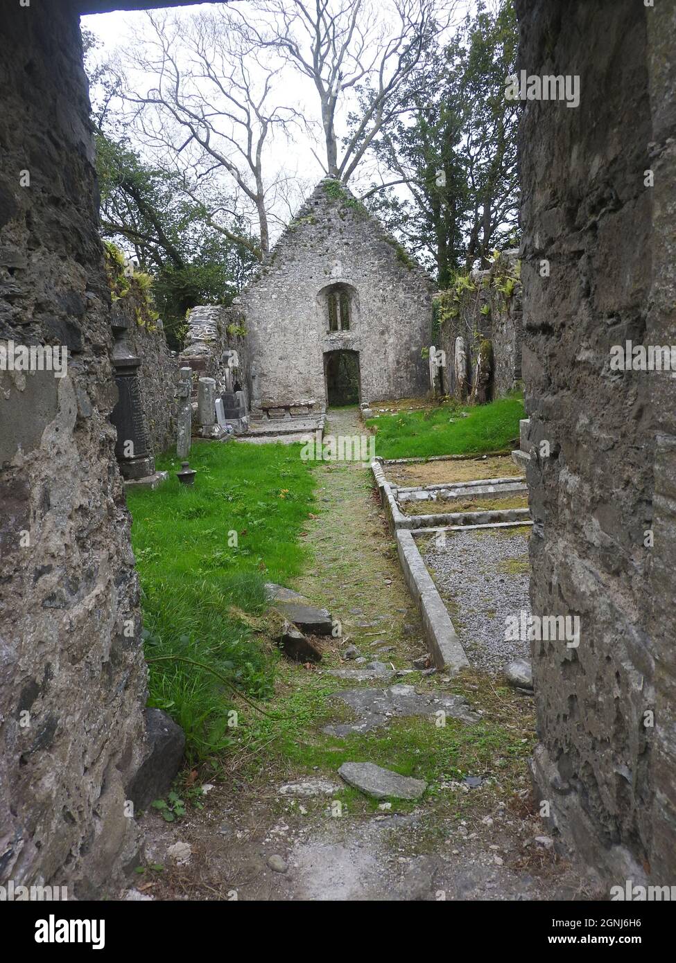 In the grounds of Monigaff (Minnigaff) church or Kirk , near Newton ...