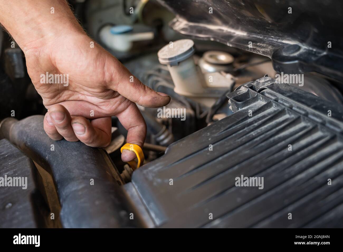 An auto mechanic pulls out a dipstick to check the oil level in a car engine Stock Photo - Alamy