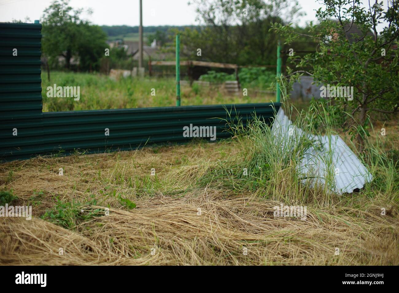 Fence torn off by a strong wind is lying on dry grass. Aftermath of ...