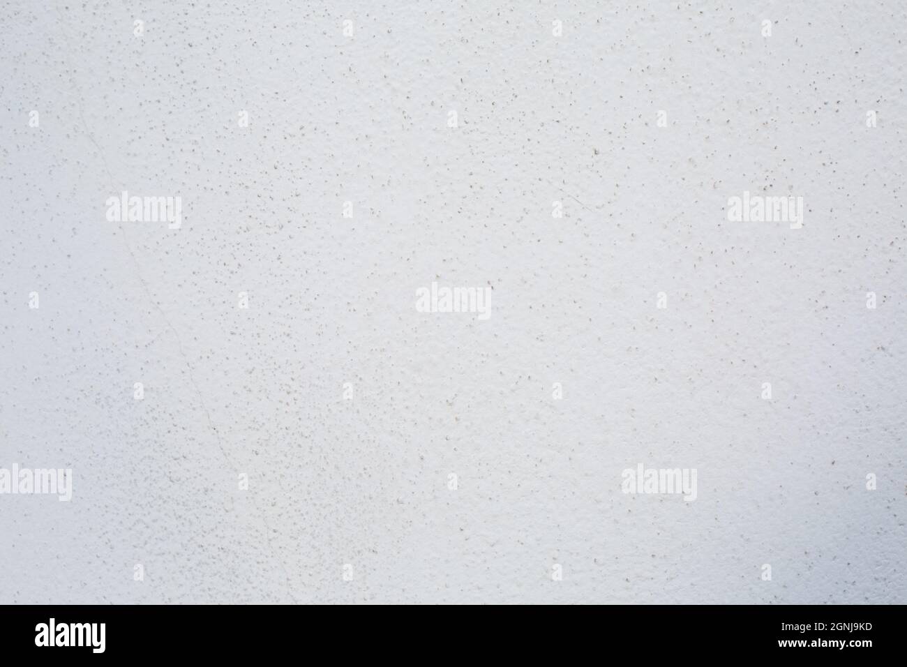 White wall plaster with grey dots. Background picture. Concrete surface ...